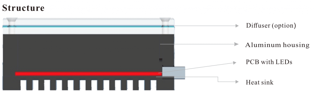 Parallel Back Lights - priced 50% to 300% less than CCS lights